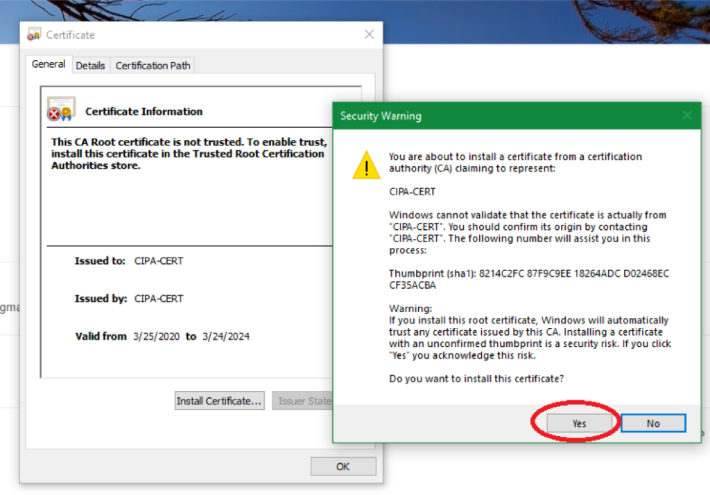 Download CIPA Certification - CyberReef